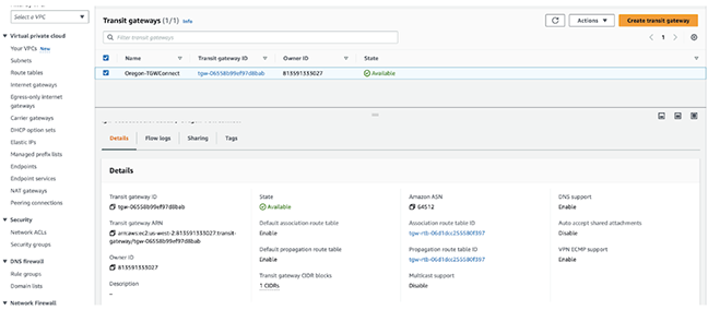 VeloCloud SD-WAN 6.4 - Administration Guide - Configuring Amazon Web Services - Arista